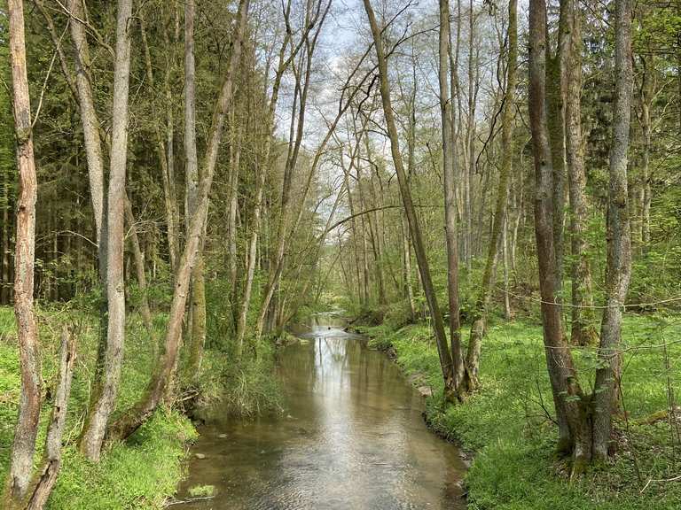 Jakobsweg Hof-Nürnberg: Etappe 4 #015 | Wanderung | Komoot