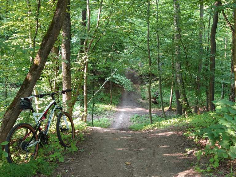 MTB Ride VDNG 01.06.2025 🏛️🤸🌿🌼☘️📷 | mountain bike ride | Komoot