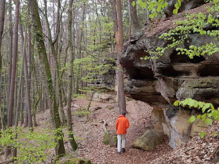 L: Consdorf I Mullerthal Trail Route 2 | hike | Komoot