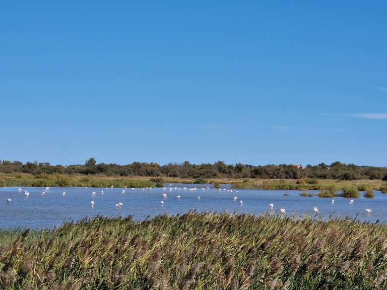 🇲🇫 Portiragnes - Vendres | E-Mountainbike-Tour | Komoot