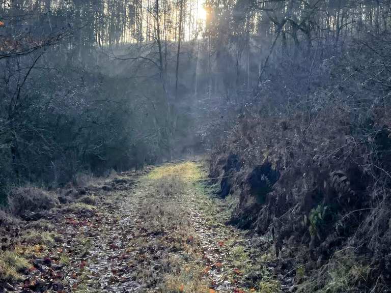 Spaziergang in Spangenberg (S 6) 🎄 | Wanderung | Komoot