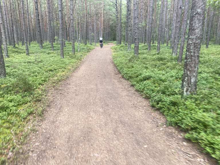 Fahrradtour nach Böda Sand | Fahrradtour | Komoot