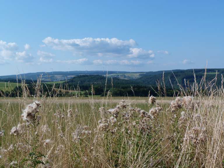 Traumschleife Arten-Reich - Heidenburg | Wanderung | Komoot