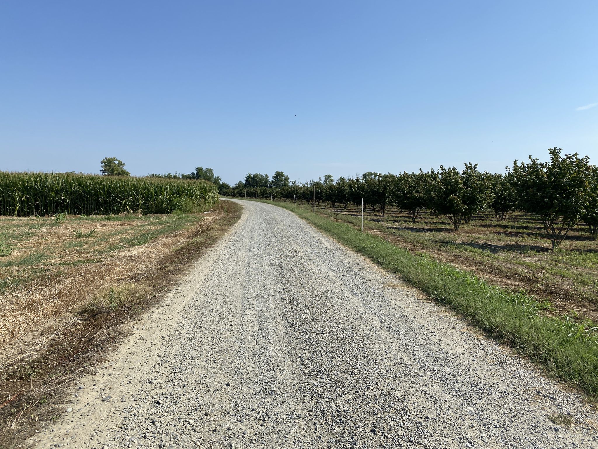 From Castelspina to Castellazzo Bormida (Routes 836 and 835) | Caminata ...