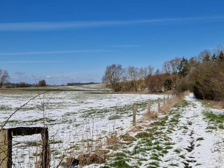 Heidmoor – Kattenberg "Gipfel" Runde von Heuerstubben | Wanderung | Komoot