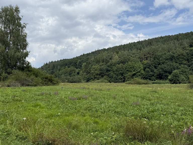 Schneewittchenweg Nord (Wiesthal-Partenstein) | Wanderung | Komoot
