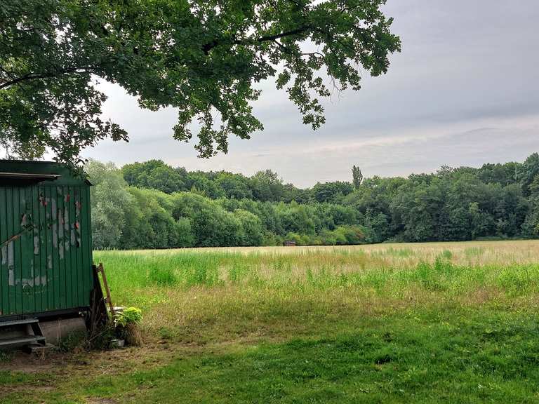 Runde zur Halde Ewald-Fortsetzung in Oer-Erkenschwick 08.08.2025 ...