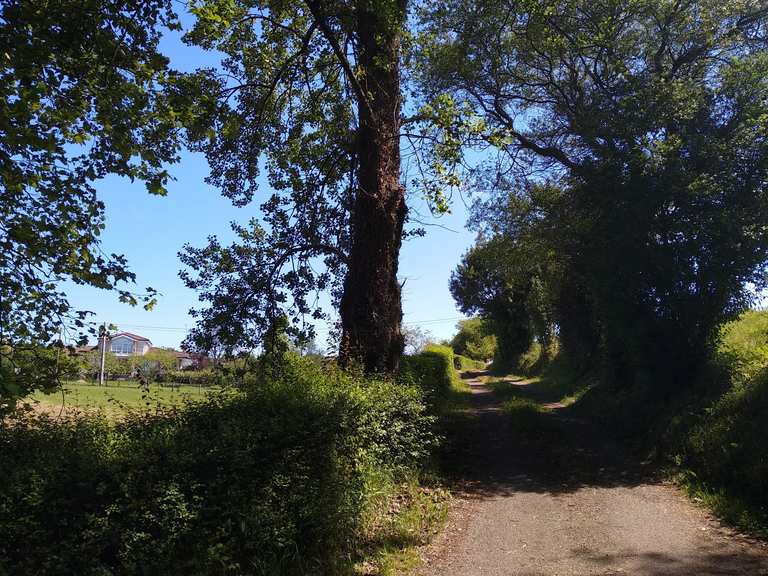 Quintes_Circular Regatón-Runza-Esperanza-Granderroble | Wanderung | Komoot