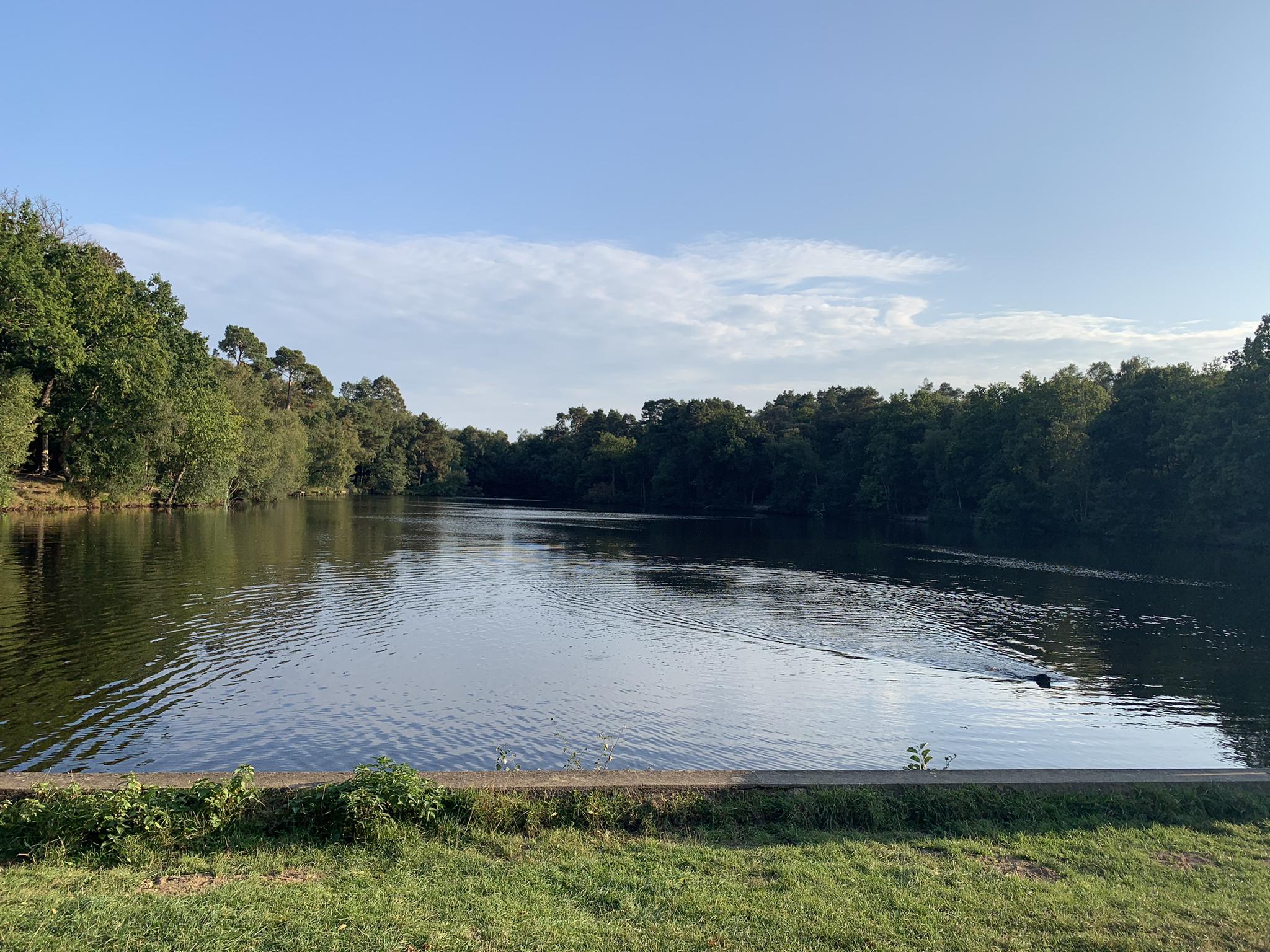Wat te doen rond North Horsham