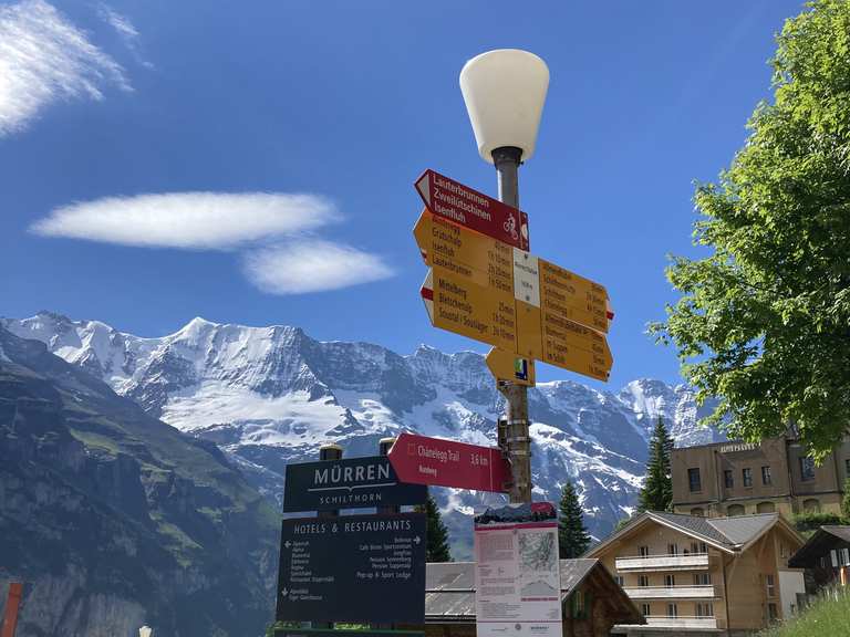 🇨🇭Grütschalp - Winteregg - Mürren en terug naar Grütschalp via de ...