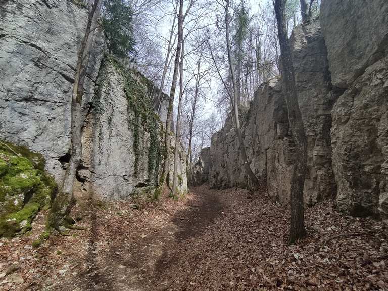 Dettingen/Erms - Kirschblüte am Calverbühl - Albtrauf (18km ...