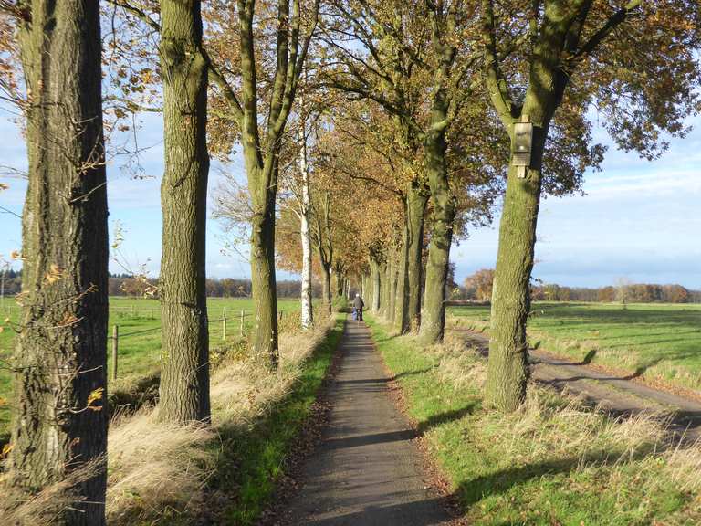 🚴‍♀️ Fietstoer langs Dommel, hei en bos | fietstocht | Komoot