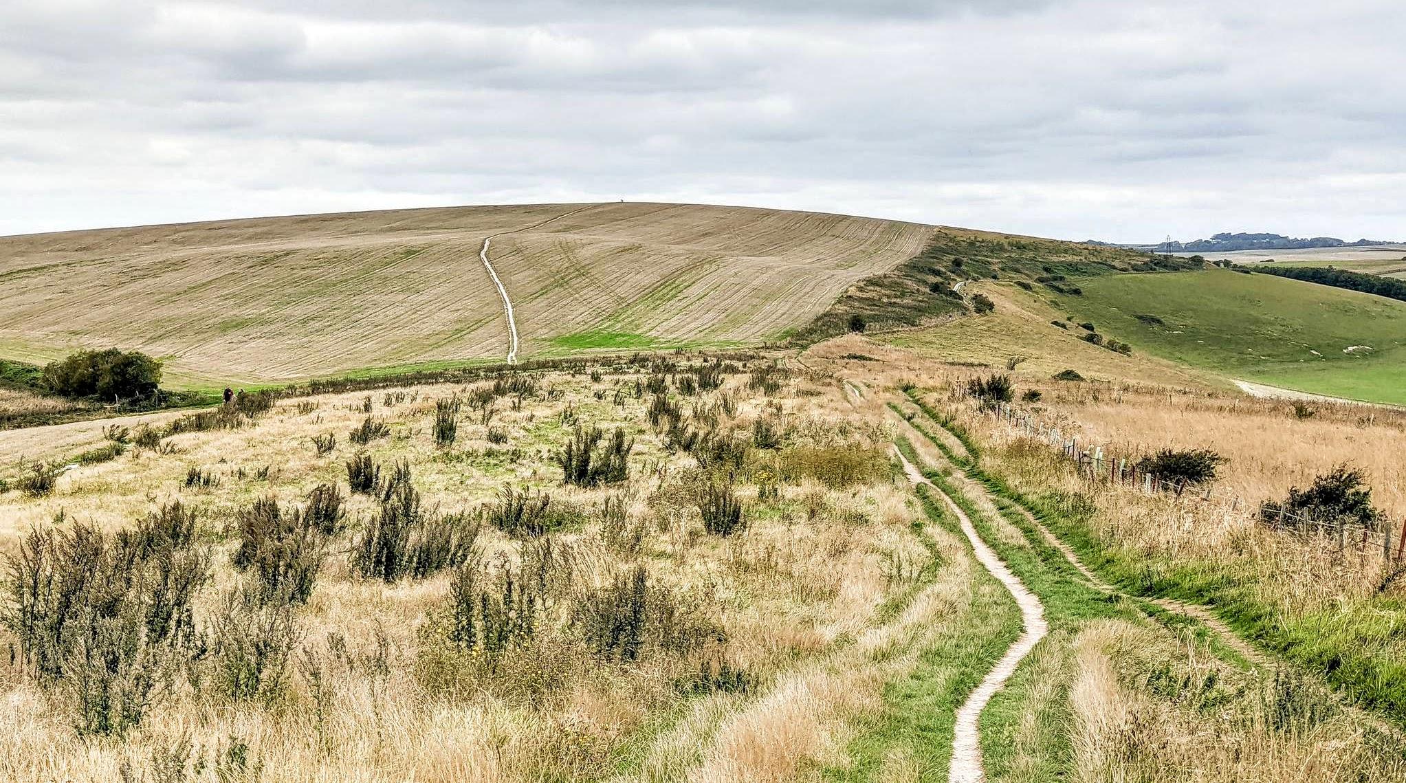 Downs Link and South Downs Way loop from Guildford | Cycling Collection ...