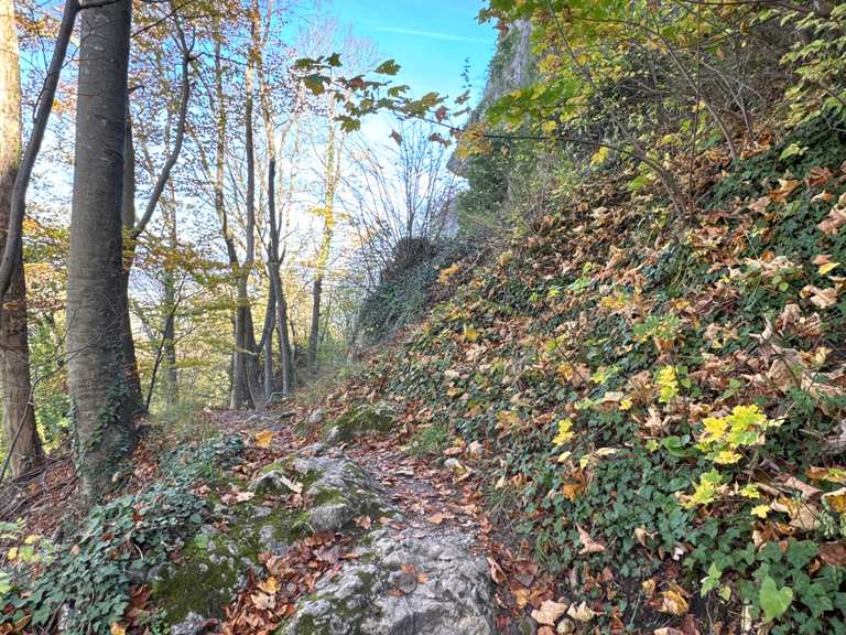 Schwäbische Alb… über den Breitenstein zum Randecker Maar & auf die ...