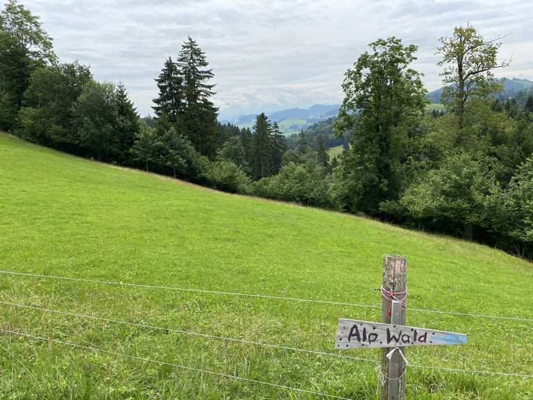 Alp Wald Runde | E-Mountainbike-Tour | Komoot