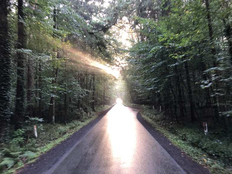 Rund um Bad Radkersburg | Komoot