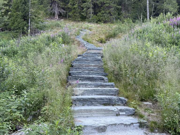 Sherpatrappa / Haglebu, NO | Wanderung | Komoot