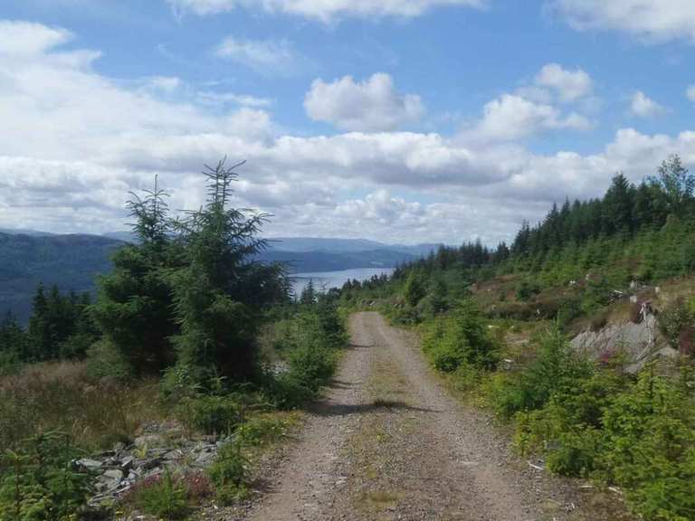 The Badger Divide | Komoot