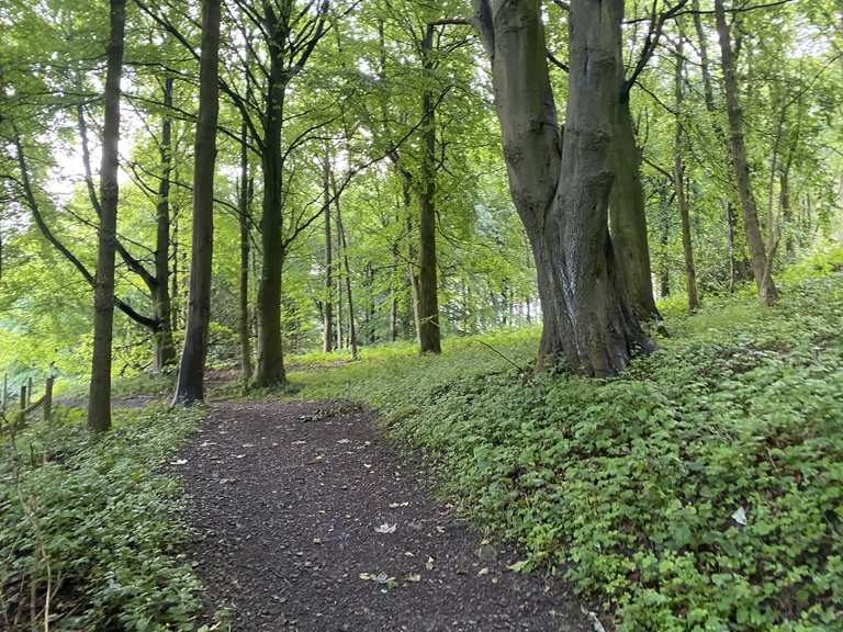 Stage 11: Osmotherley to Blakey Ridge – Coast to Coast | Wanderung | Komoot