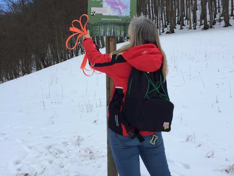 Schlattstall - Donntal - Schlattstall | hike | Komoot