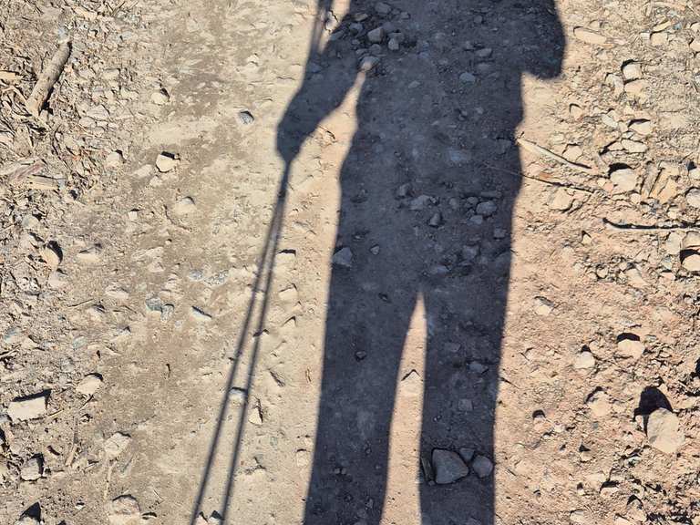 So macht das walken richtig Spass | Nordic-Walking-Tour | Komoot