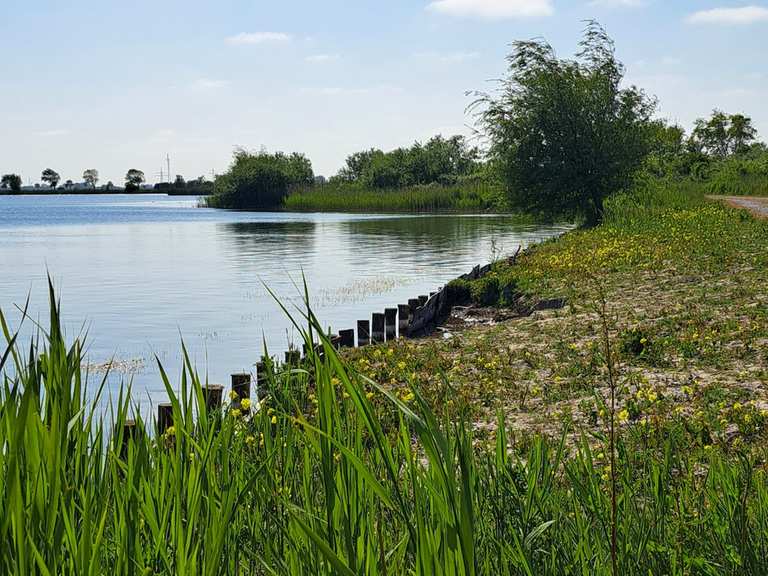 Wangermeer Hohenkirchen Juni 2023 | Wanderung | Komoot