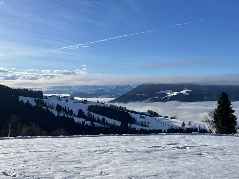 Taki Winter Walk Raten-Bellevue | Wanderung | Komoot