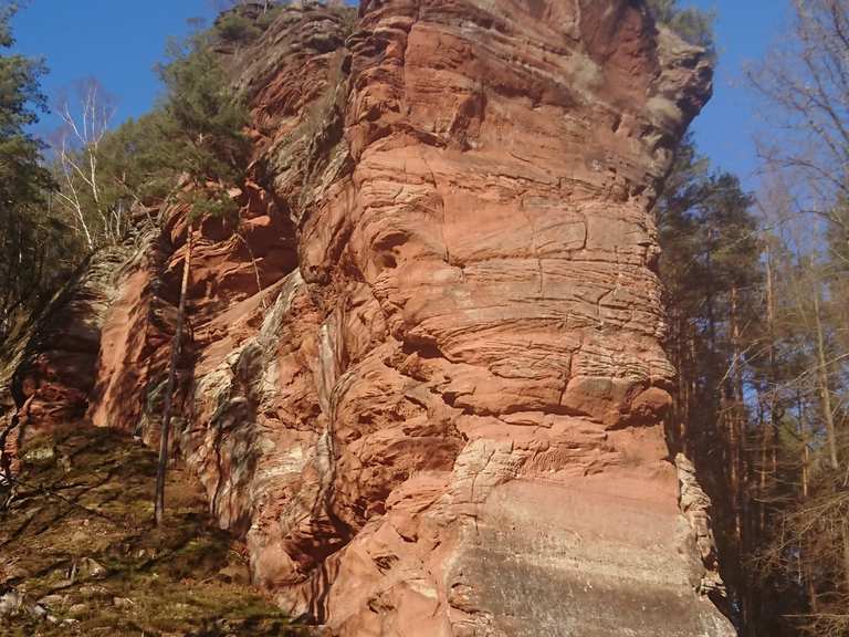 Via Hermersbergerhof - Luitpoldturm - Sieben Buchen - Kirschfels ...