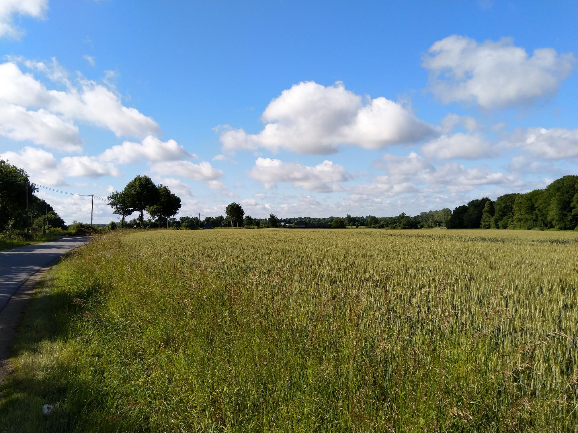 Things to Do around Lécousse
