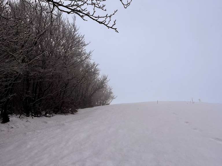 In cerca di neve ai Pantani di Accumoli | Wanderung | Komoot