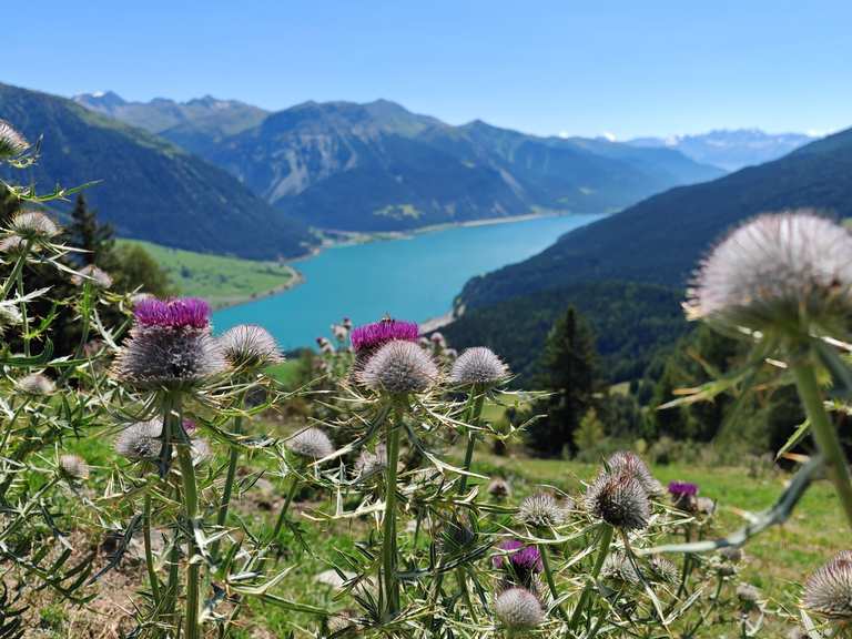 Reschenpass - Biken auf den 3 Länder Enduro Trails | Mountainbike-Tour ...