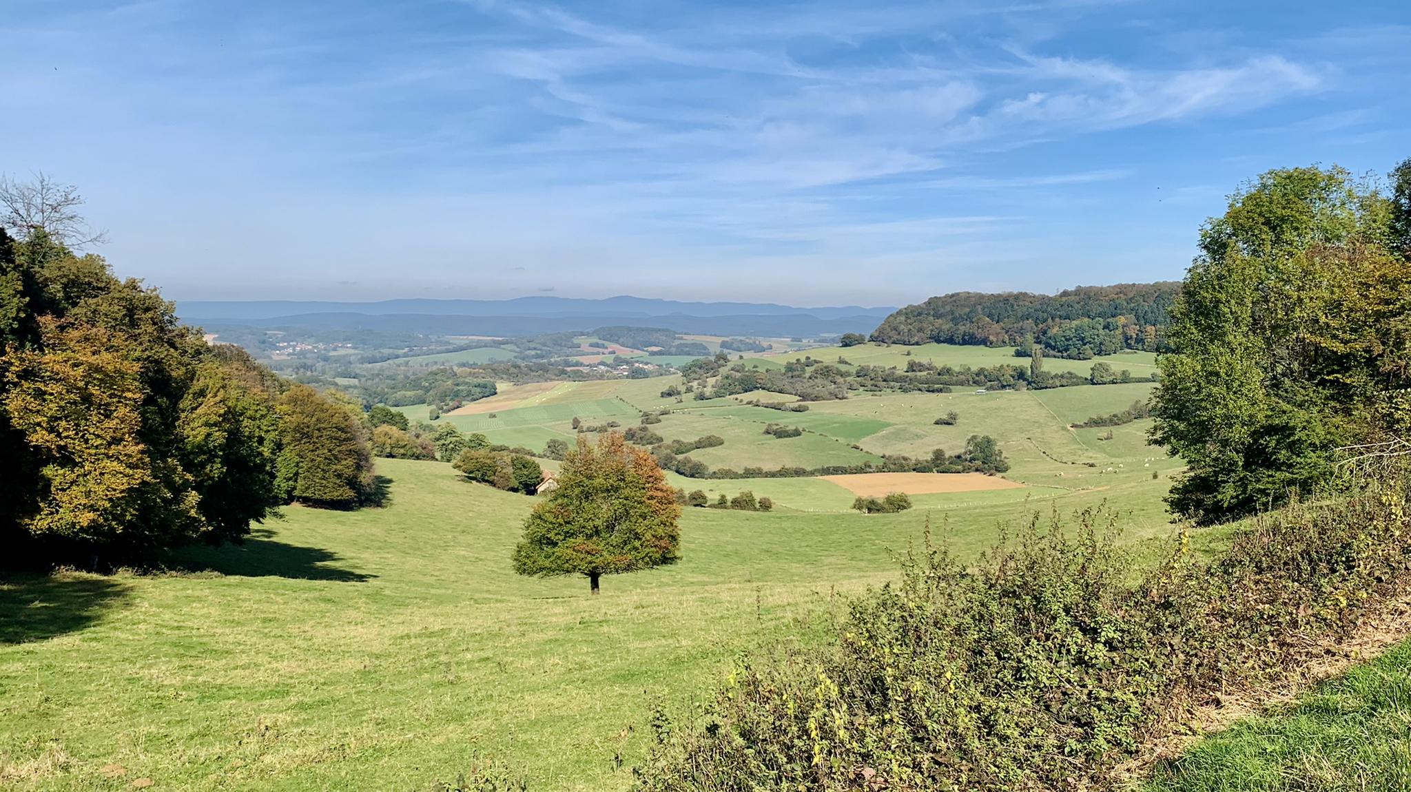 Things to Do around L'Isle-Sur-Le-Doubs