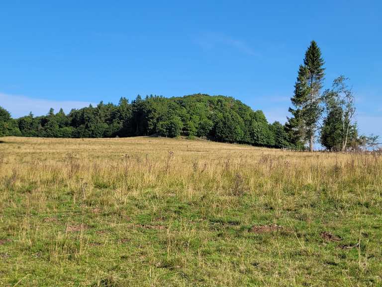 Steinkopf-Tour mit Karl, Kurt und Gunter | Nordic-Walking-Tour | Komoot