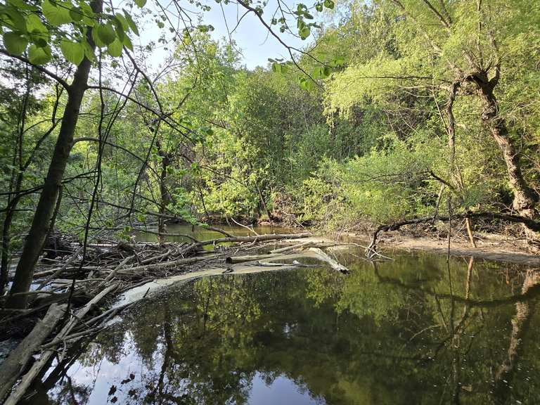 🇨🇦 ON Oshawa - Farewell Creek Trail | hike | Komoot