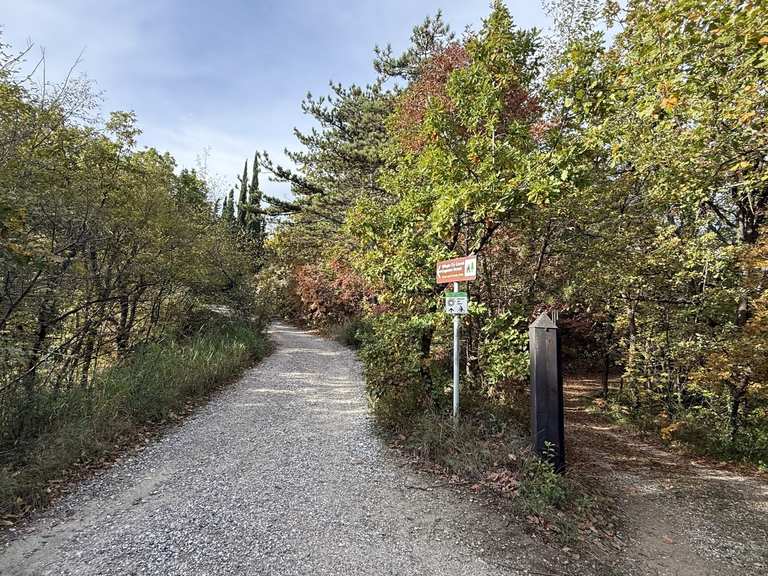 Monte Rontana parco Carnè Brisighella | Wanderung | Komoot