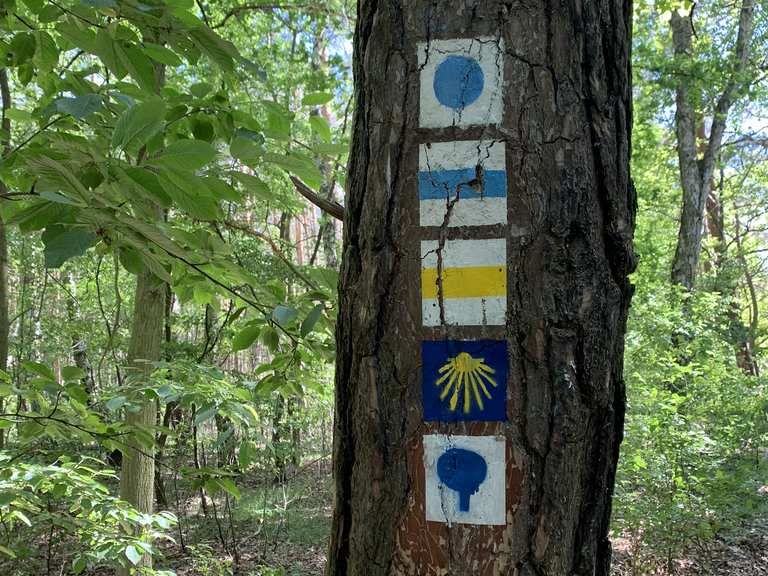 Via Imperii - Von Stettin 🇵🇱 bis Lutherstadt Wittenberg 🇩🇪 | Komoot