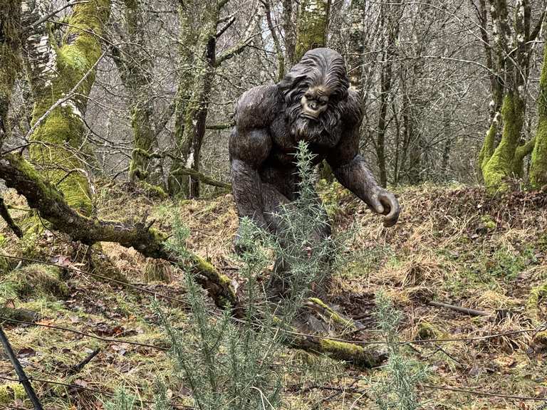 Scotland Gravelreko | E5 Killin-Auchterarder💦🥃 | Rennrad-Tour | Komoot