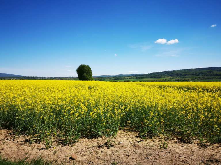 Michel, Alex, Mario und Sylvie waren Radeln!! | Fahrradtour | Komoot