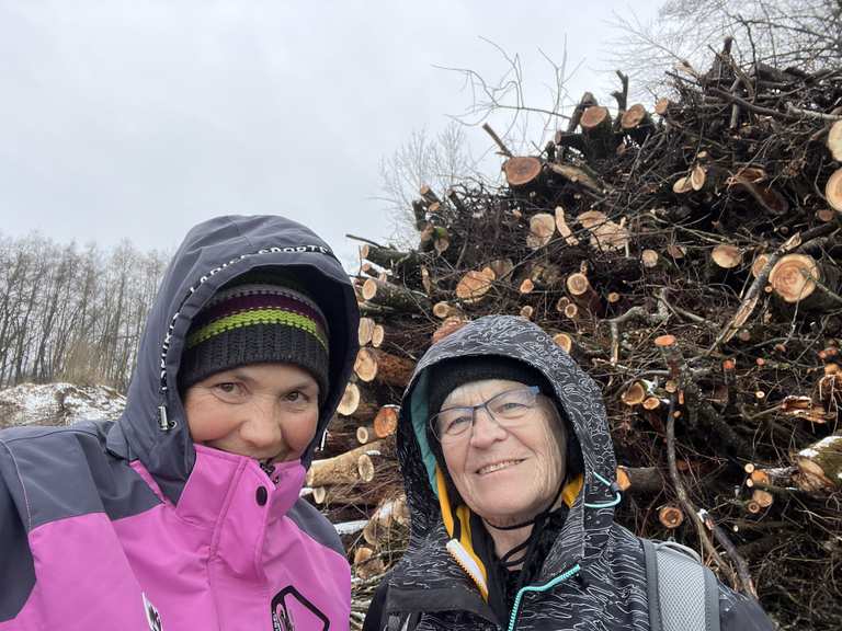 Gassi Allgäuer Genussmanufaktur mit Mamale | Tour | Komoot
