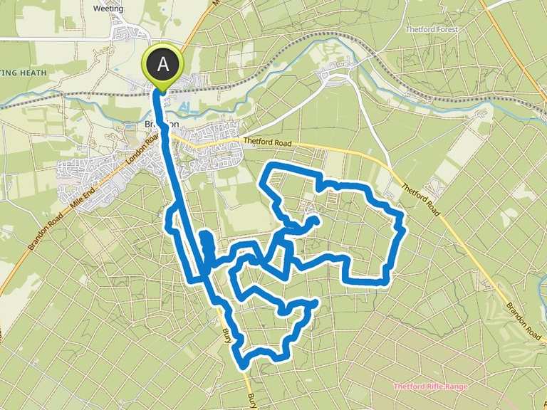 Red track – Brandon Country Park Café Loop from Brandon | bike Tour ...