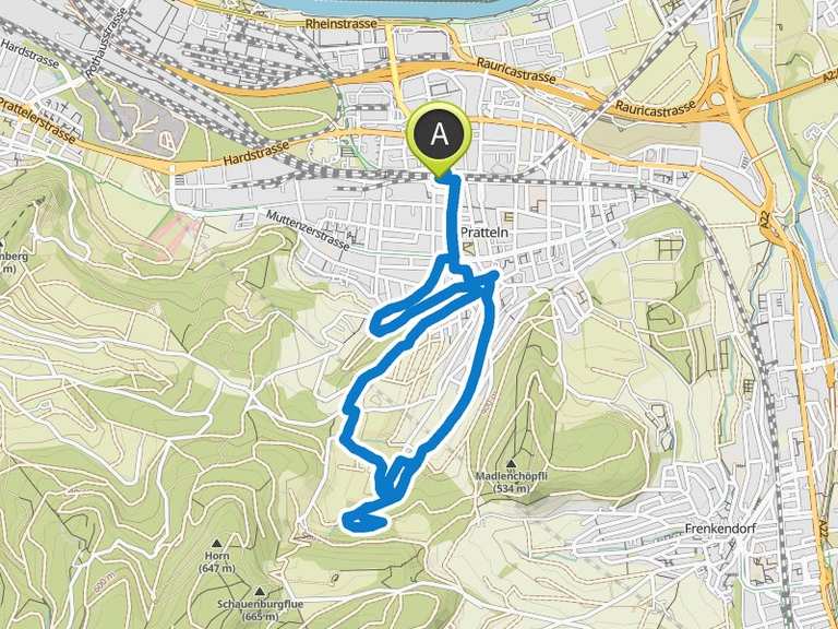 Schloss Pratteln Loop from Oberemattstrasse | hike | Komoot