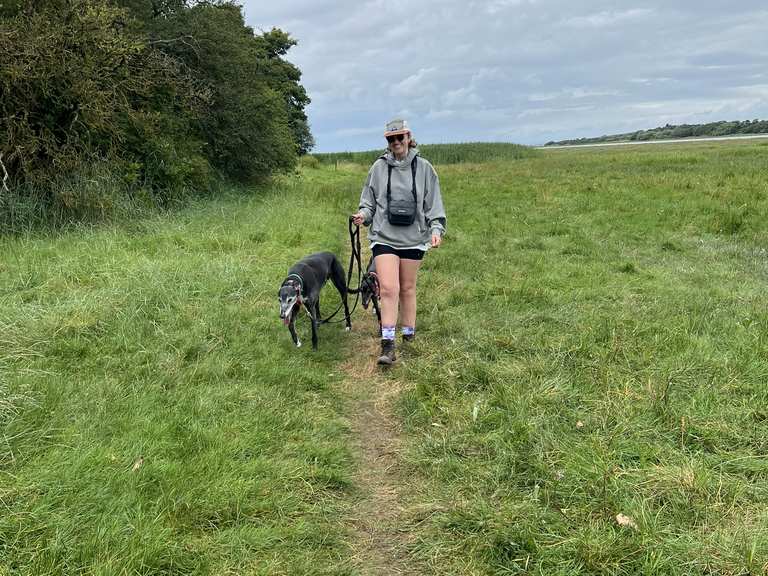 A (very) short but sweet litter pick/dog walk 🌿 | Wanderung | Komoot