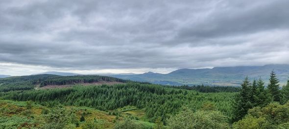 Grizedale Forest loop from the Visitor Centre — Lake District National ...