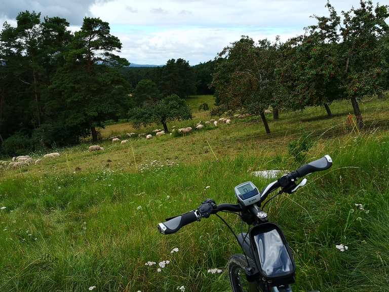 Radtouren fränkisches Seenland | Komoot