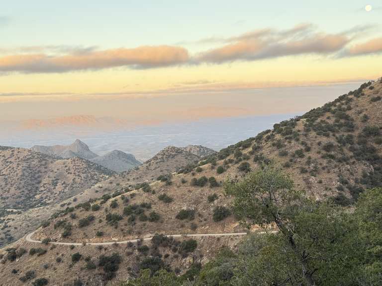 2024 AZ Rally day 8: Mount Hopkins to Tucson | gravel ride | Komoot