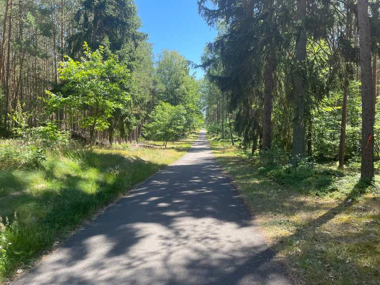 Juni 2025 - Durch den Wald am Platkowsee nach Bredereiche und ...