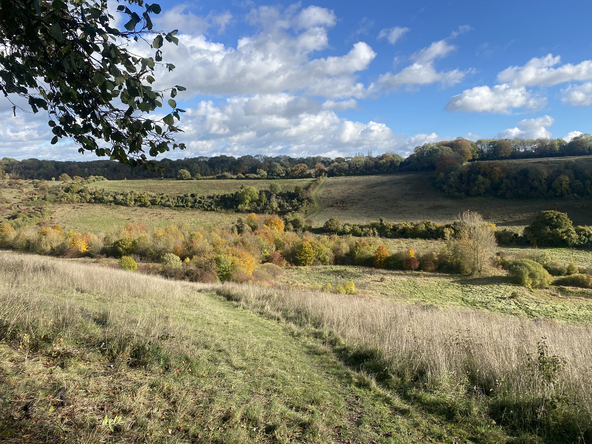 Otford loop to Round Hill & the North Downs Way — Kent Downs ANOB ...