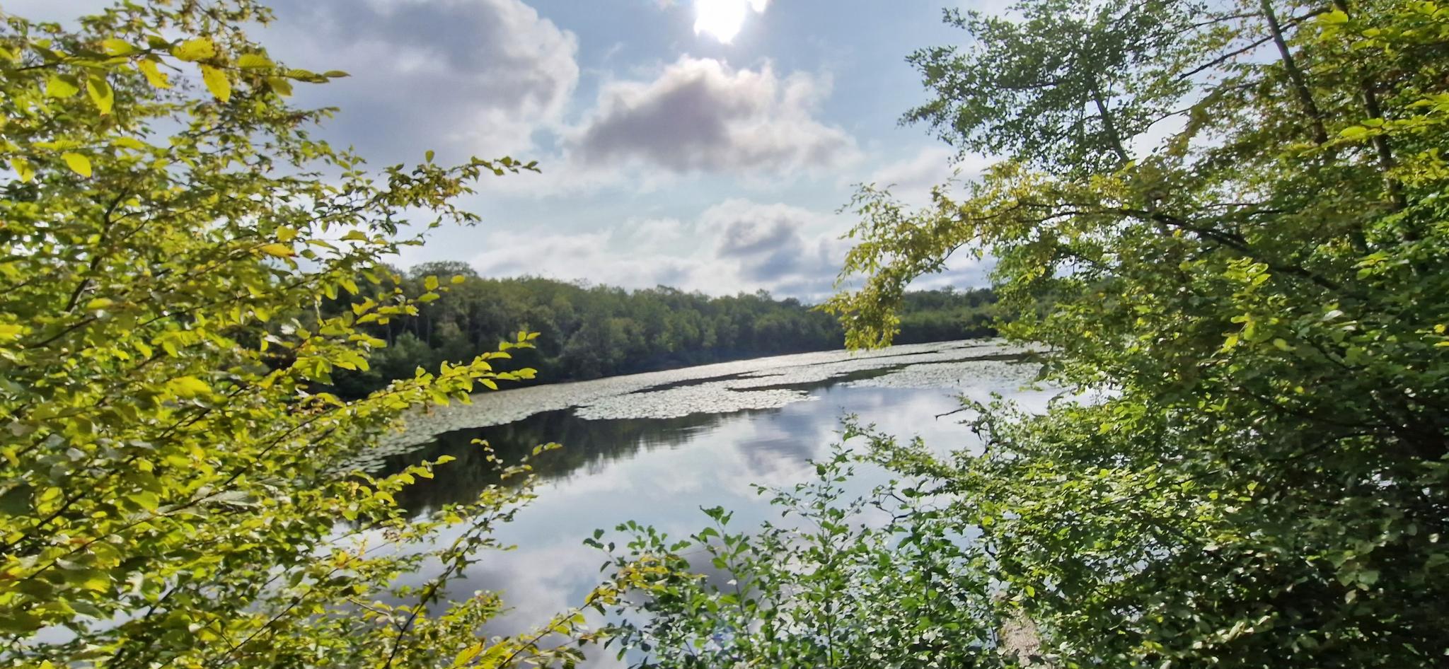 Things to Do around Saint-Léger-En-Yvelines
