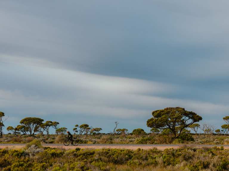 Day 46 — Around the World — Mundrabilla to Nullarbor, Australia | road ...