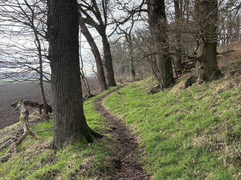 Runde bei Bönninghardt 🥾 | hike | Komoot